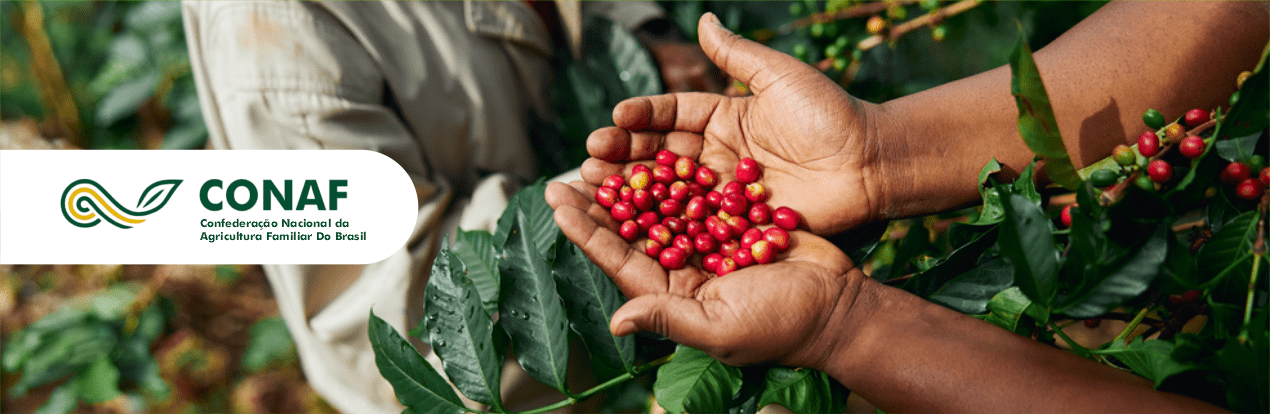 Início - Conaf Brasil